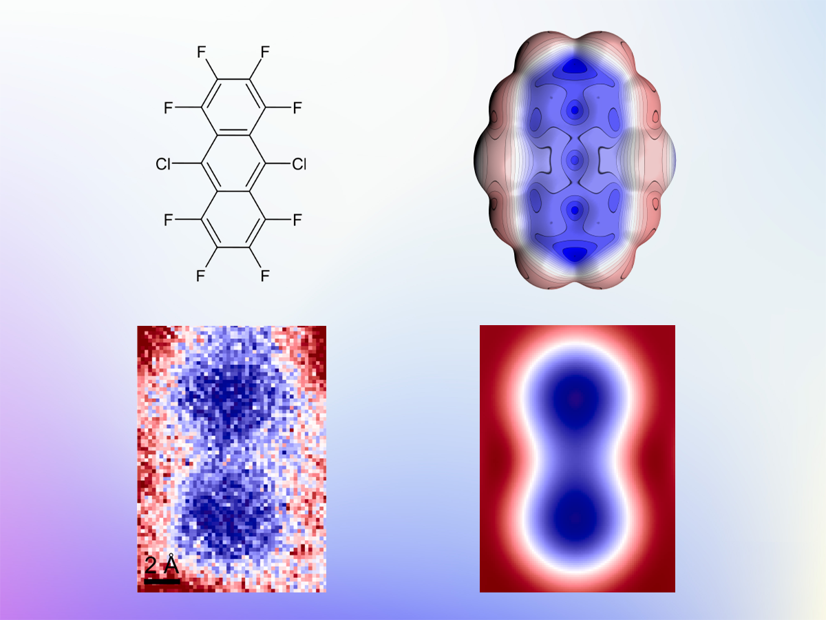 Czech scientists continue to push the boundaries of imaging techniques ...